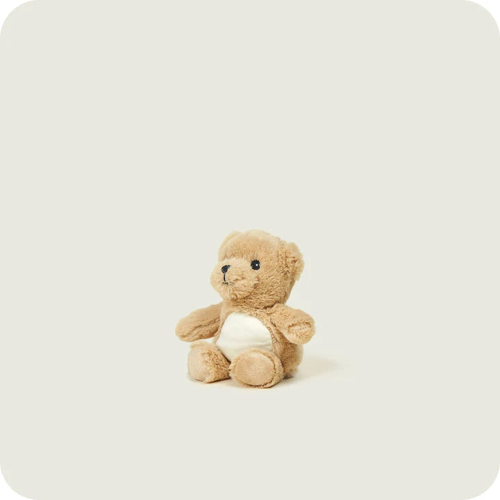 Dusty Pups™ Teddy Bear – Toy Hut